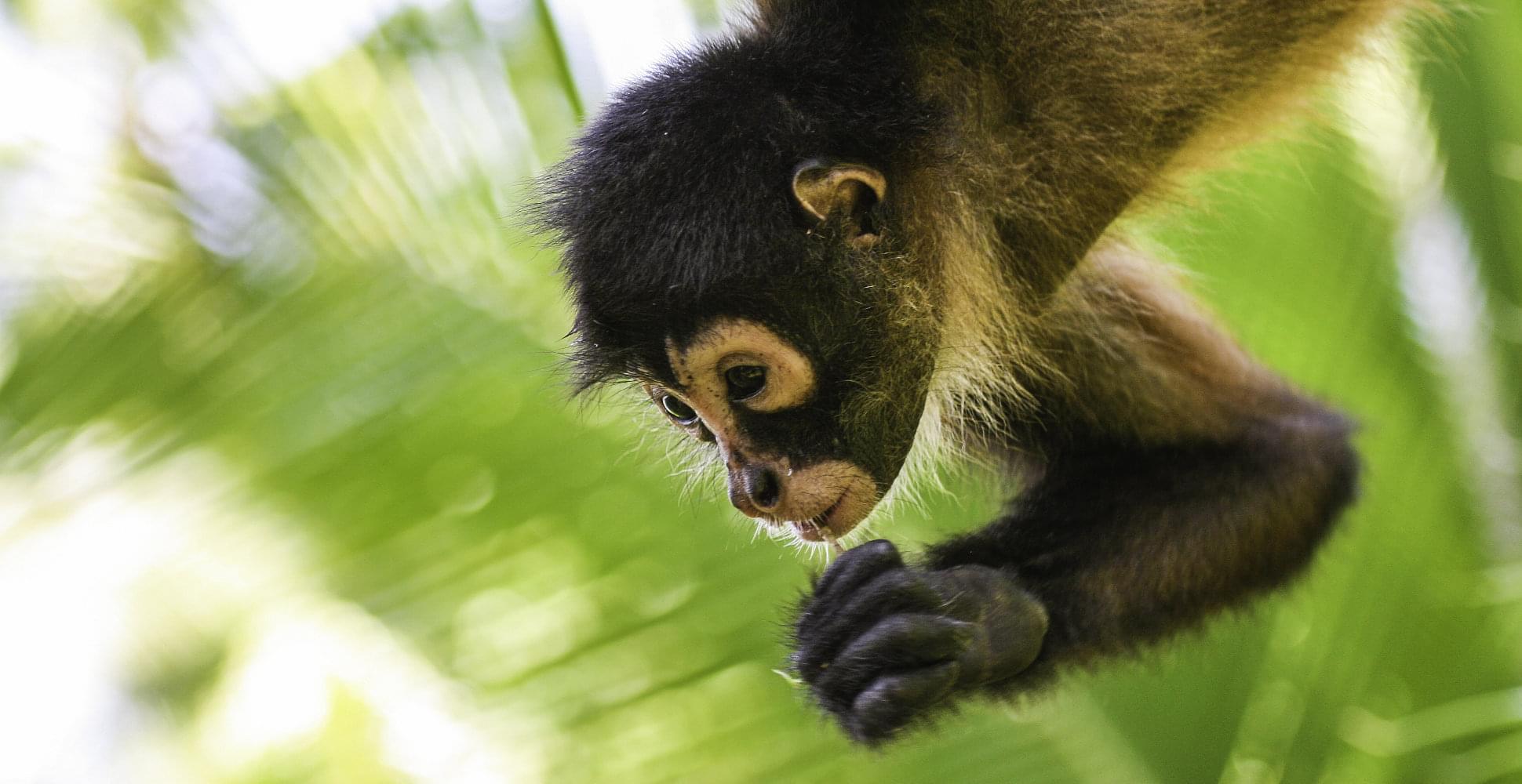 Iconic Costa Rica - Off the Beaten Path