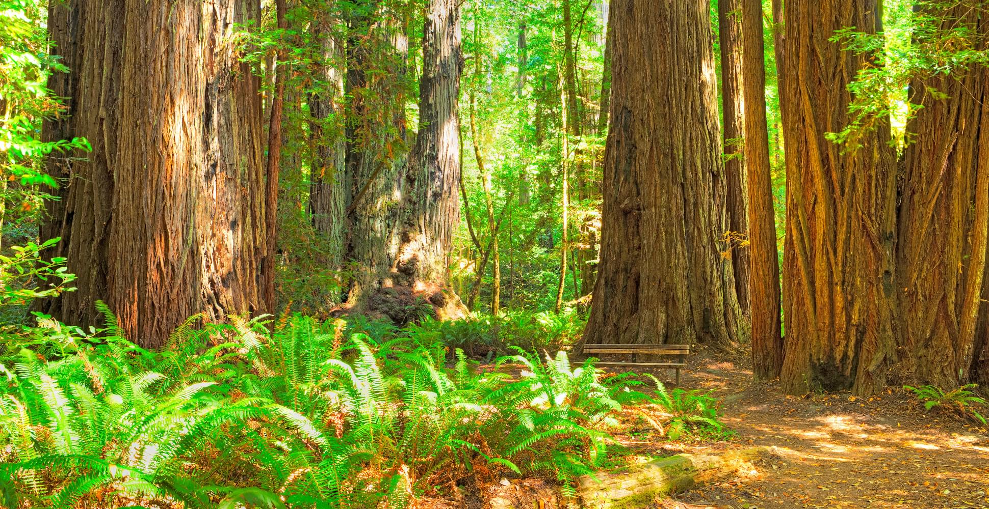 Pacific Northwest Adventure - Off the Beaten Path