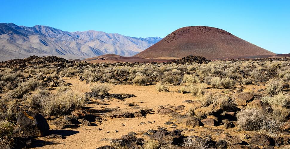 Joshua Tree and Death Valley | Off the Beaten Path